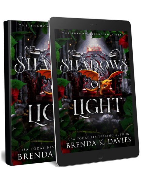Shadows of Light | Brenda K. Davies